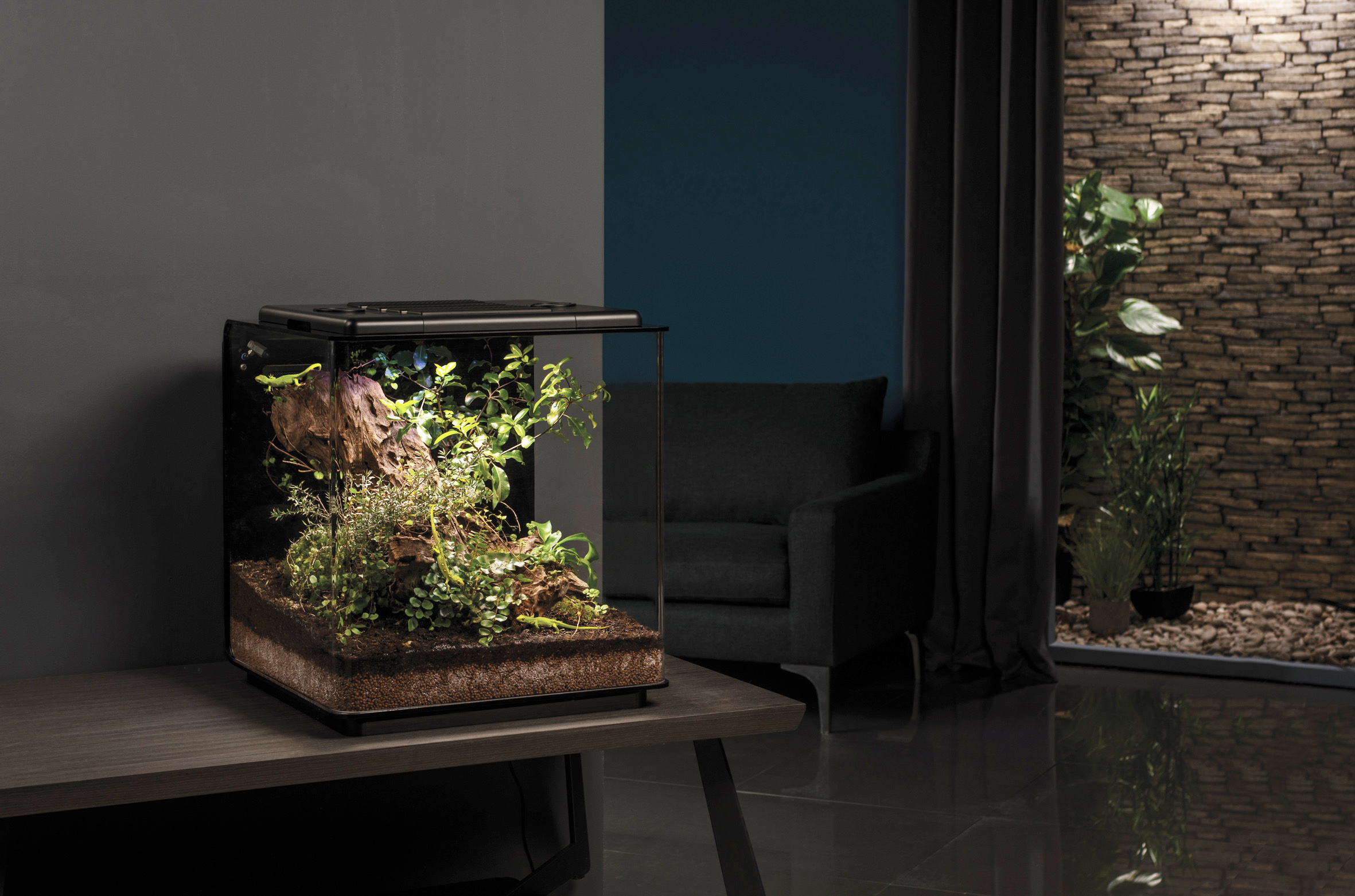 Primavera - Communiqué de presse : biOrb EARTH arrive enfin sur terre ...